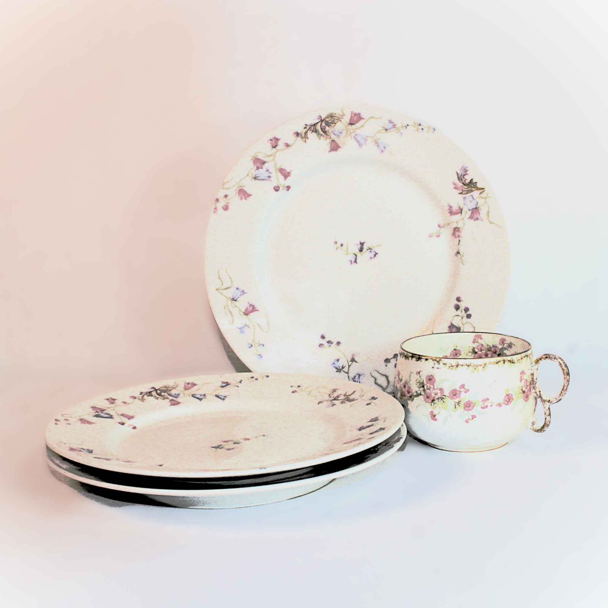 Set of Fine China Dinnerware - 'Schleiger 150' by Haviland