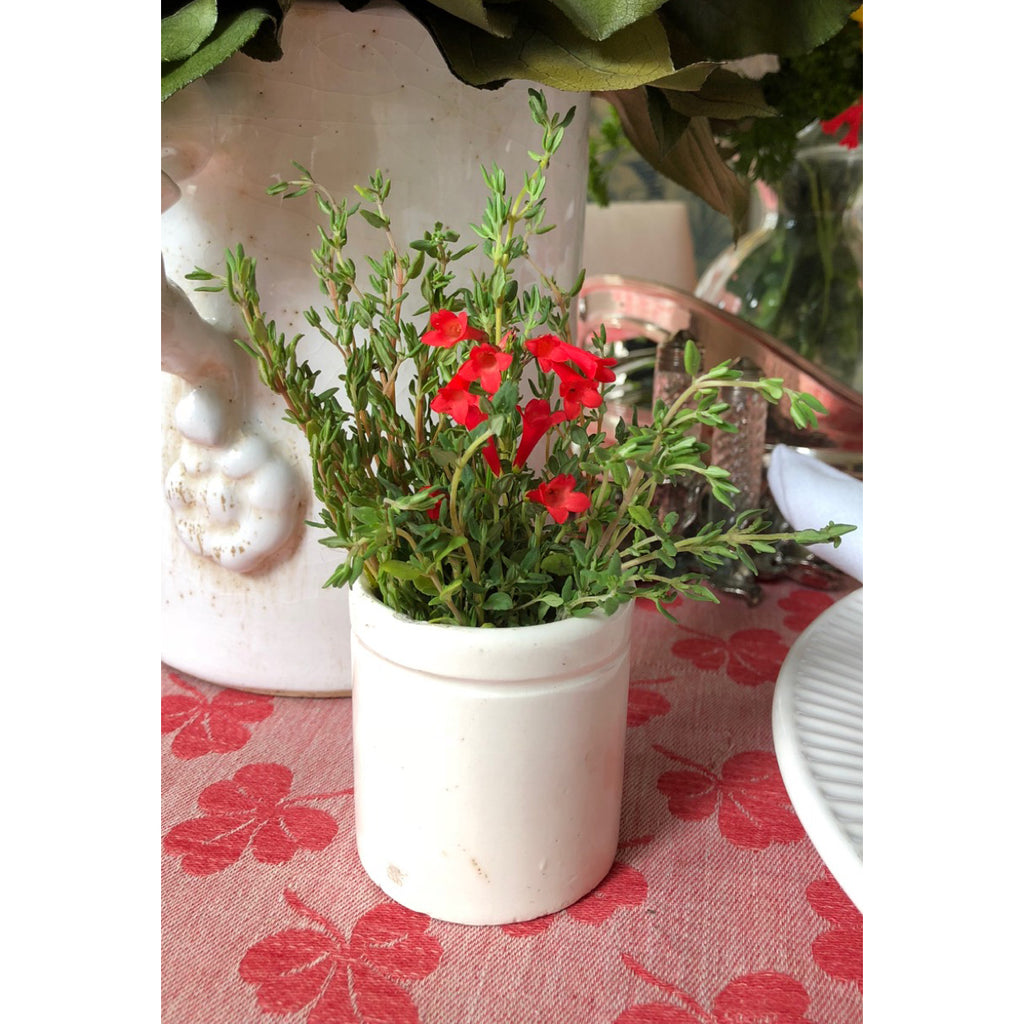 Small Vintage Ceramic Pots from France! \n \n2.5"W x 2.5"H – Maison ...