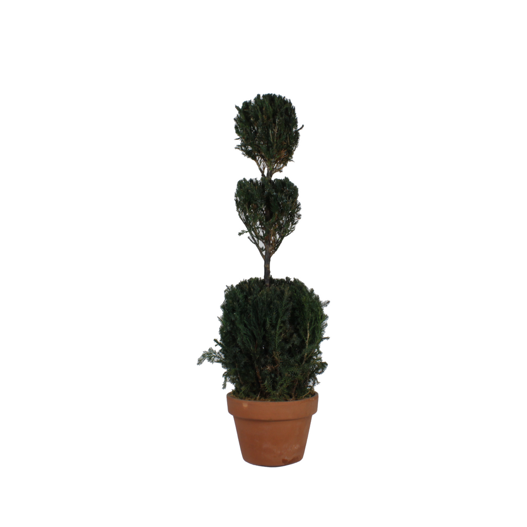 30″ 3-Ball Topiary – Maison Maison Design
